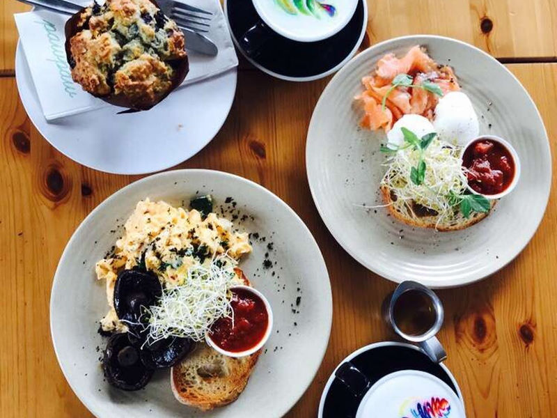 Piggy Back Cafe | Brisbane app
