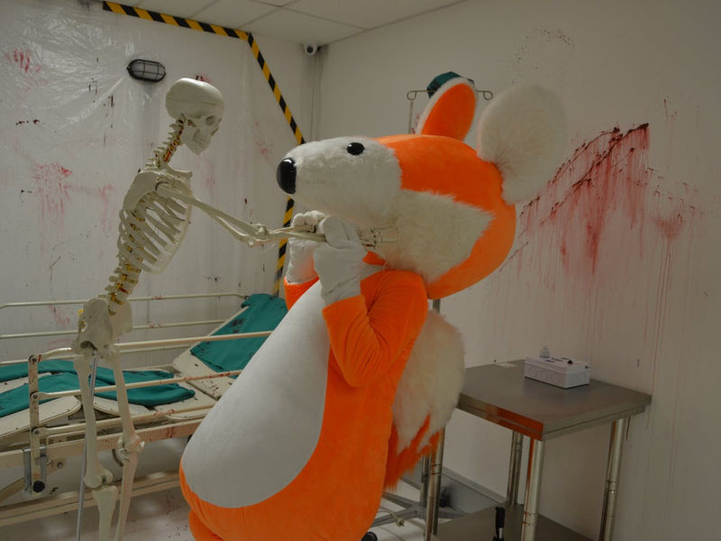 Fox In A Box Brisbane Escape Rooms Brisbane App